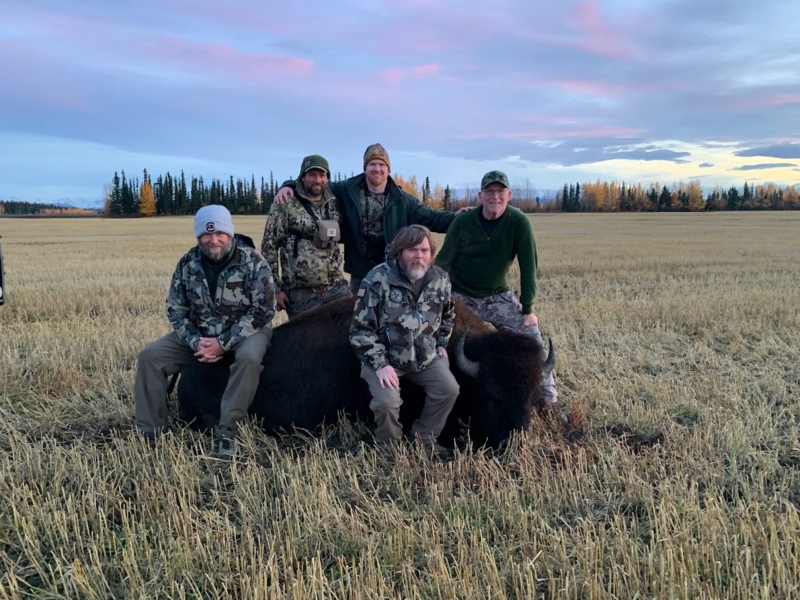 Bison Hunting - Clearwater Alaska Outfitters